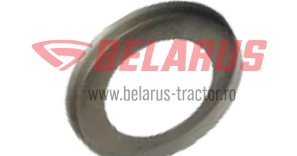 CAPAC RULMENT PIVOT 1520-2308039 TRACTOR BELARUS 820